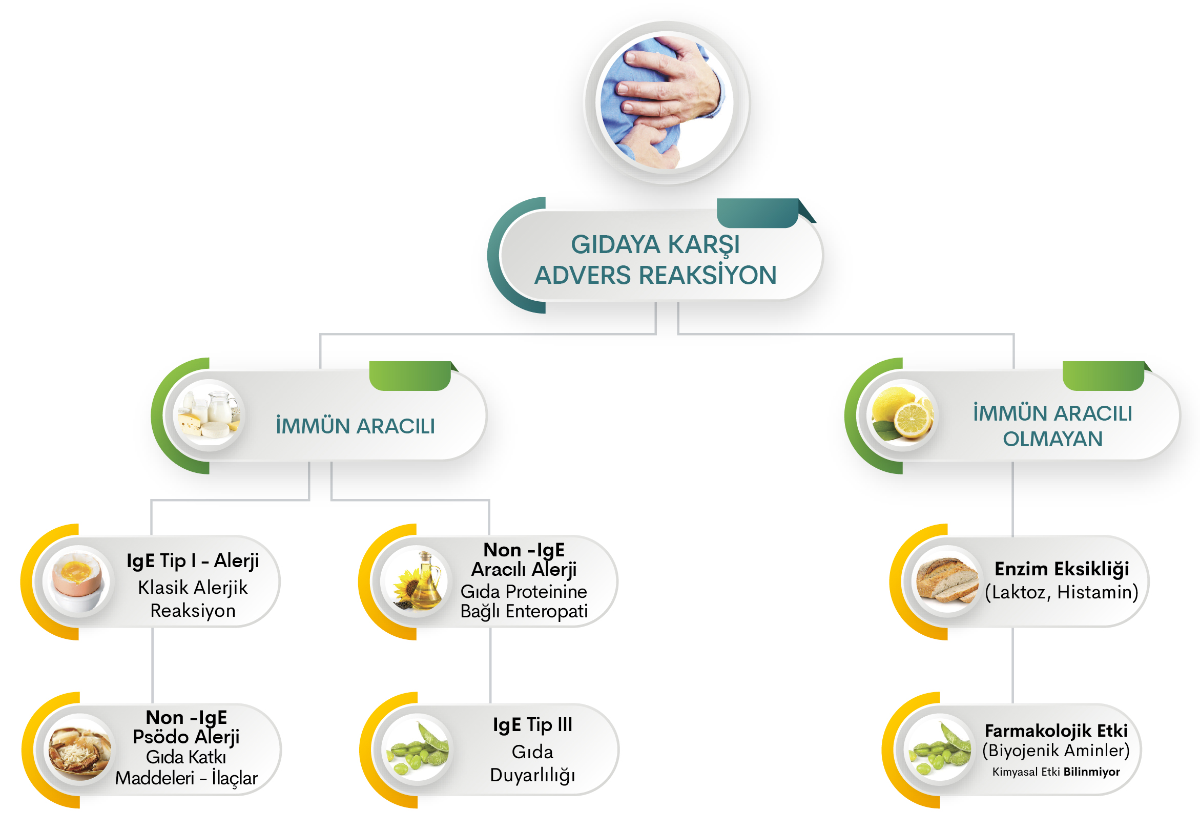 Gıda Duyarlılığı Nedir - Food Intolerance Test